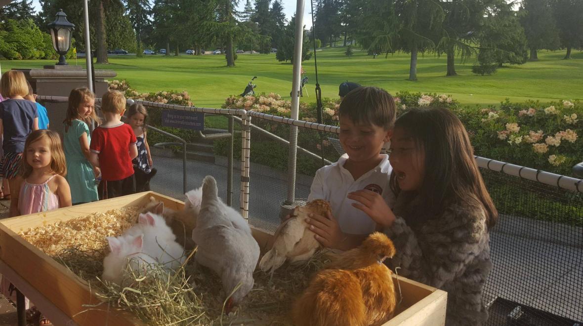 Animal Encounters Petting Zoo at HOCM | Seattle Area Family Fun Calendar | ParentMap